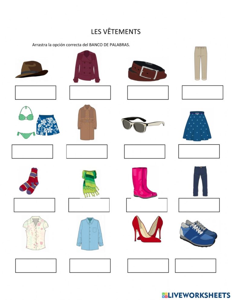 Vocabulario de la ropa en francés: aprende las palabras clave ※